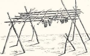 Hunting and Food of the Plains Tribes – Access Genealogy