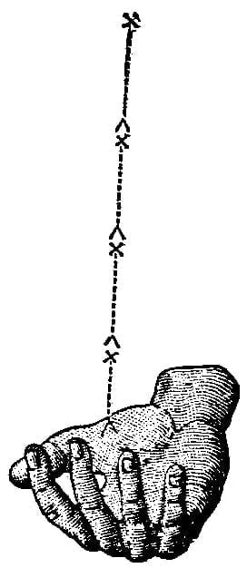 Classes of Diversities in Signs - Sign Language – Access Genealogy