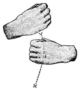 Extracts from Dictionary - Antelope to Brave - Sign Language – Access ...