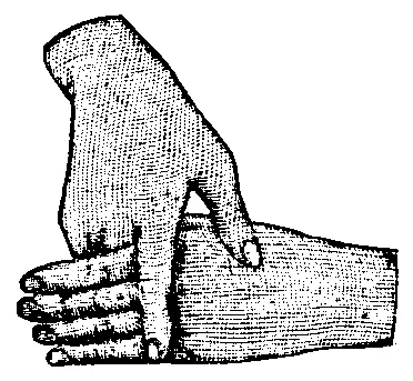 Extracts from Dictionary - Horse to Kill - Sign Language | Access Genealogy