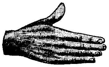 Extracts from Dictionary - Horse to Kill - Sign Language | Access Genealogy