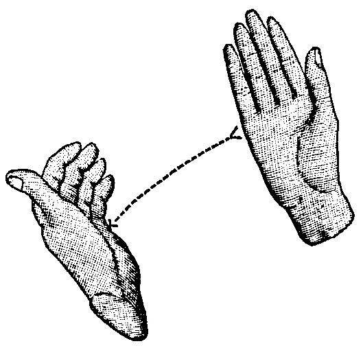 Extracts from Dictionary - Horse to Kill - Sign Language | Access Genealogy