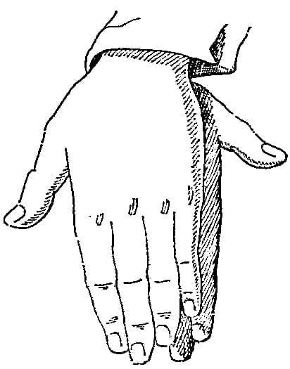 Neapolitan Signs - Sign Language – Access Genealogy