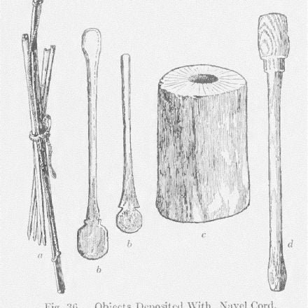 Yuchi Indians Food – Access Genealogy