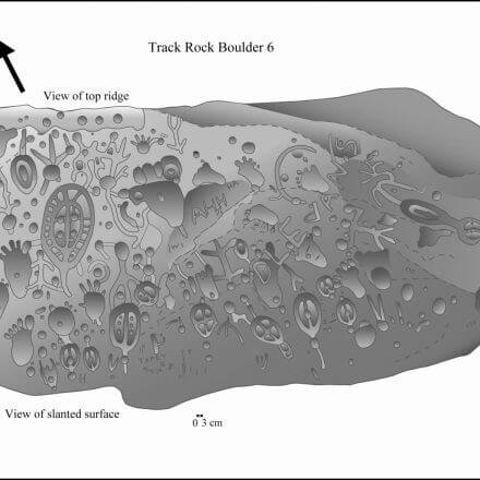 Interpretation of the Track Rock Gap Petroglyphs – Access Genealogy