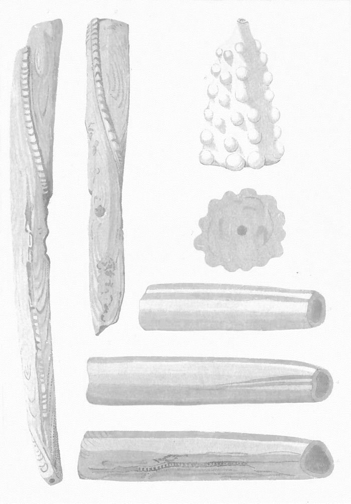 plate33 – Access Genealogy