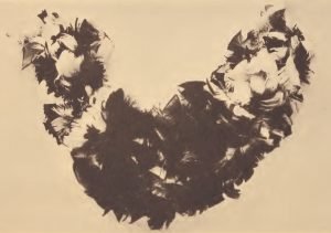 Powhatan Featherwork – Access Genealogy