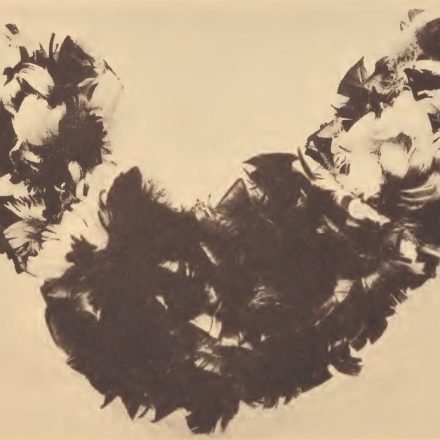 Powhatan Featherwork – Access Genealogy