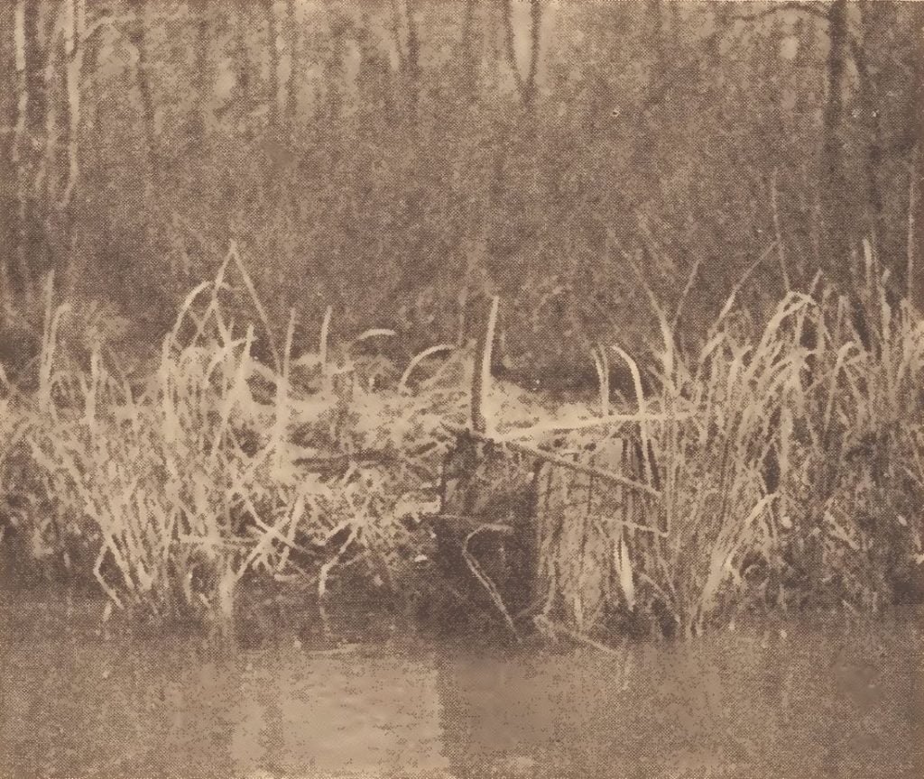 Powhatan Hunting Customs | Access Genealogy