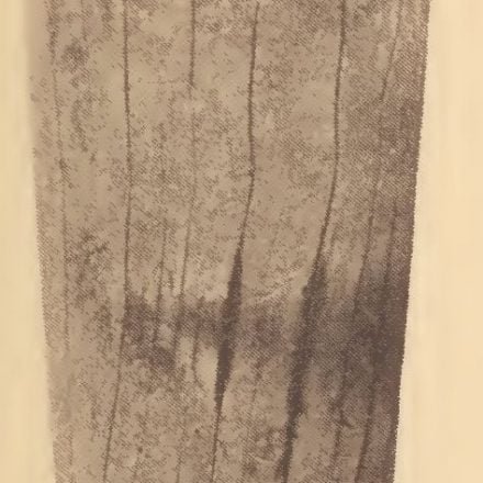 Powhatan Agriculture – Access Genealogy